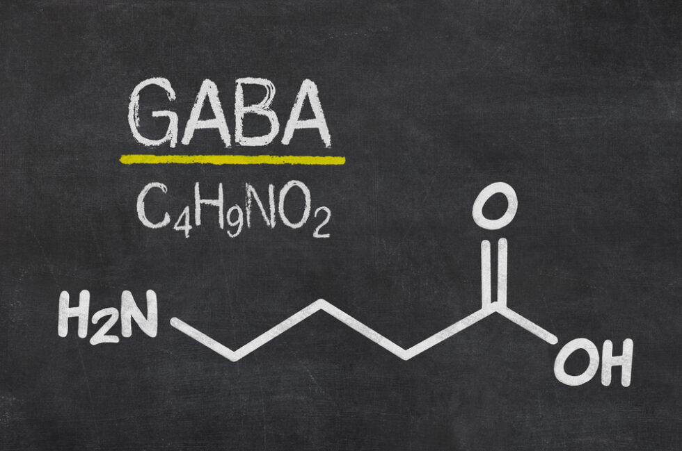 GABA | Health Benefits, Uses, Side Effects
